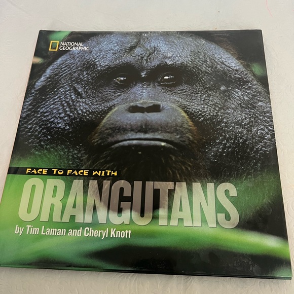 National Geographic | Other | Face To Face With Gorillas National ...